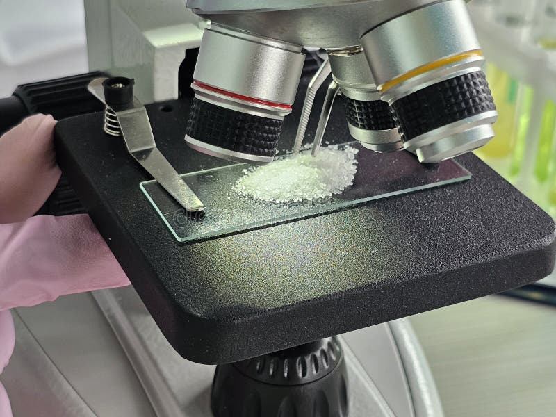 Examining Crystalline Structure of Salt Under a Microscope in a ...