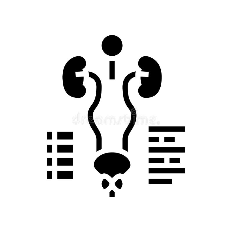Examining Genitourinary System Glyph Icon Vector Illustration Stock ...