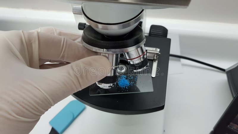 Examining a Sample Under a Microscope Stock Photo - Image of microscope ...