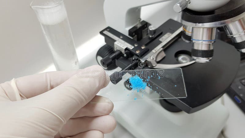 Examining a Sample Under a Microscope Stock Photo - Image of equipment ...