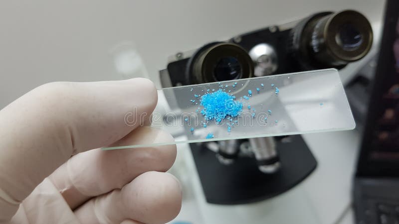 Examining a Sample Under a Microscope Stock Photo - Image of test ...