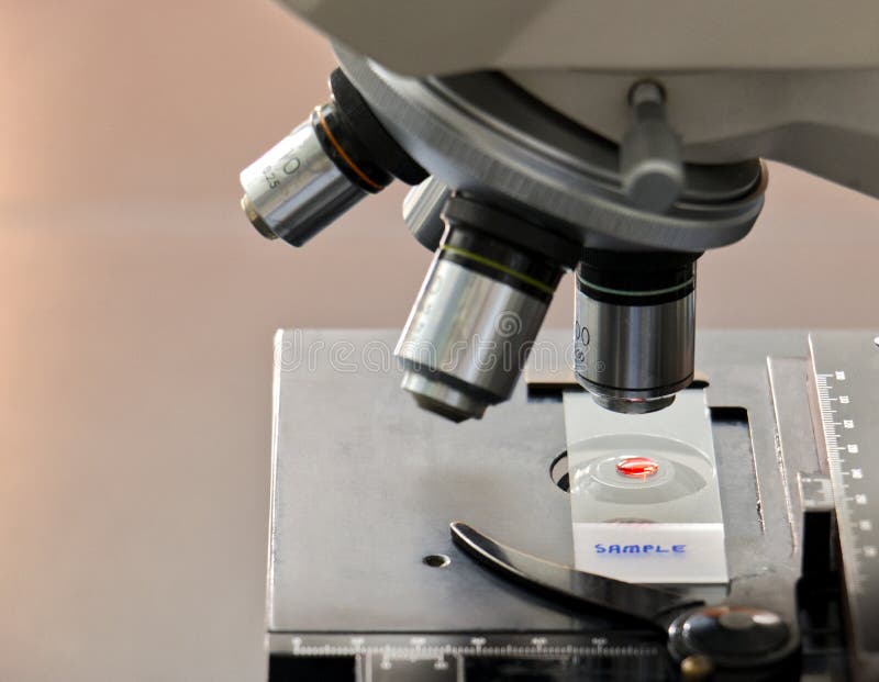 Examining of Test Sample Under the Microscope. Stock Photo - Image of ...