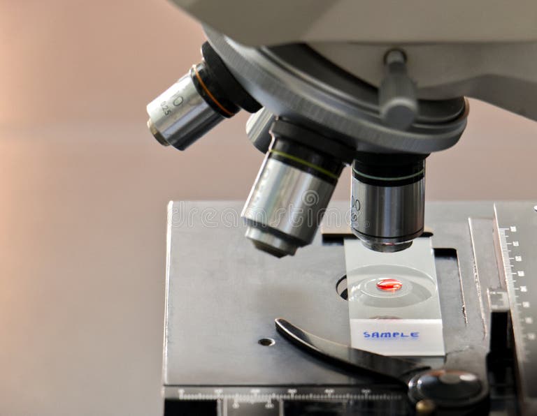 Examining of Test Sample Under the Microscope. Stock Photo - Image of ...