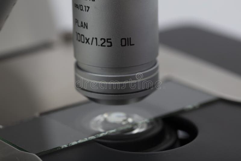 Examining of Test Sample Under the Microscope in Laboratory. Optical ...