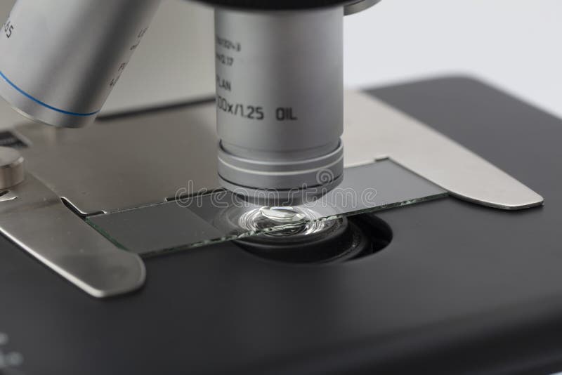 Examining of Test Sample Under the Microscope in Laboratory. Optical ...