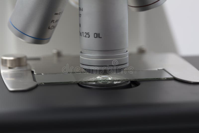 Examining of Test Sample Under the Microscope in Laboratory. Optical ...