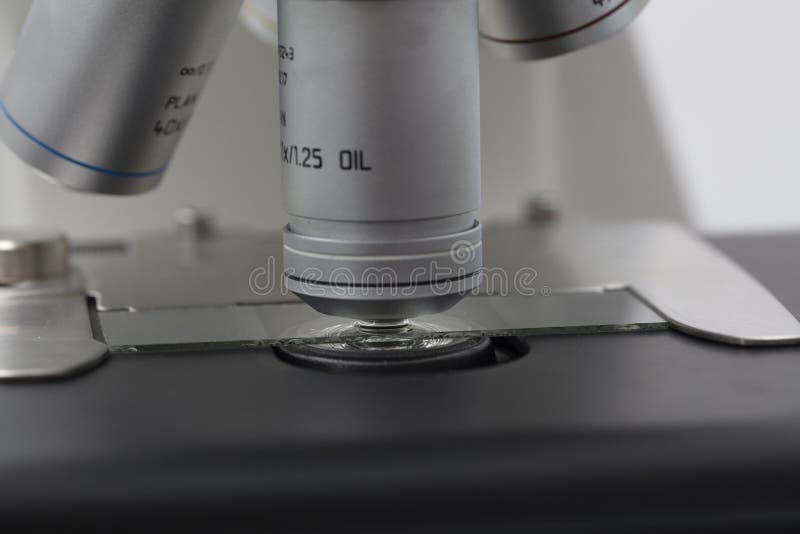 Examining of Test Sample Under the Microscope in Laboratory. Optical ...