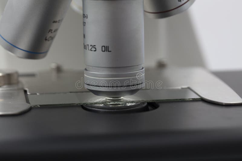 Examining of Test Sample Under the Microscope in Laboratory. Optical ...