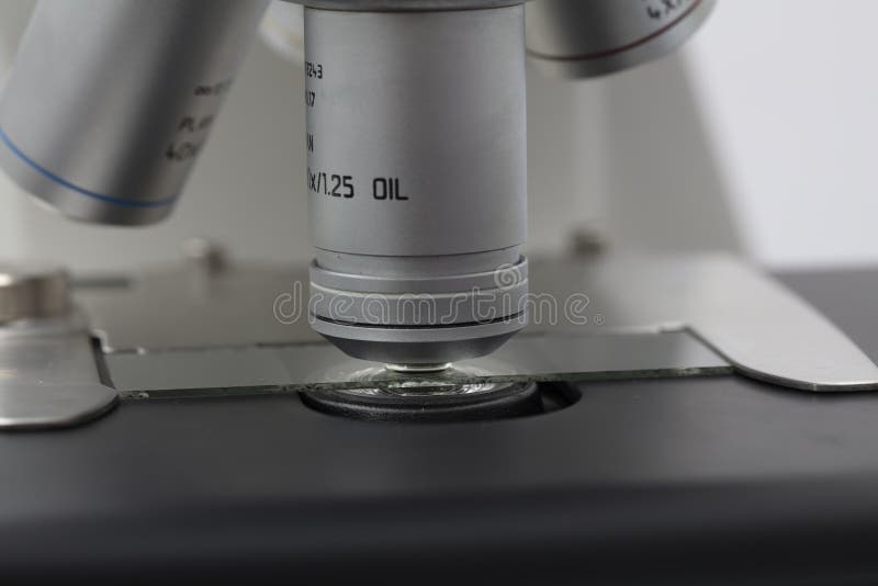 Examining of Test Sample Under the Microscope in Laboratory. Optical ...