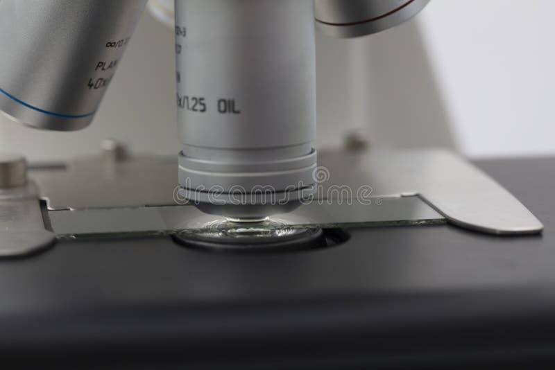 Examining of Test Sample Under the Microscope in Laboratory. Optical ...