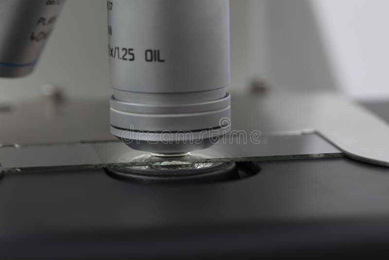 Examining of Test Sample Under the Microscope in Laboratory. Optical ...