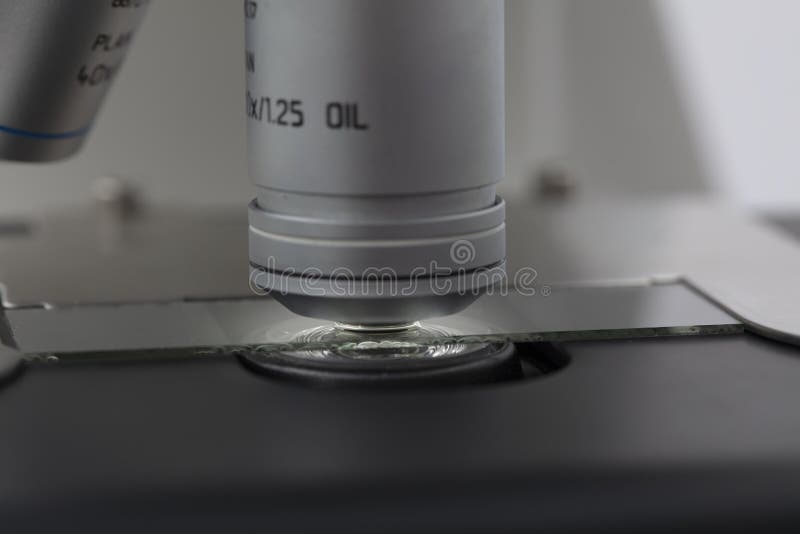 Examining of Test Sample Under the Microscope in Laboratory. Optical ...