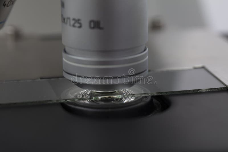 Examining of Test Sample Under the Microscope in Laboratory. Optical ...