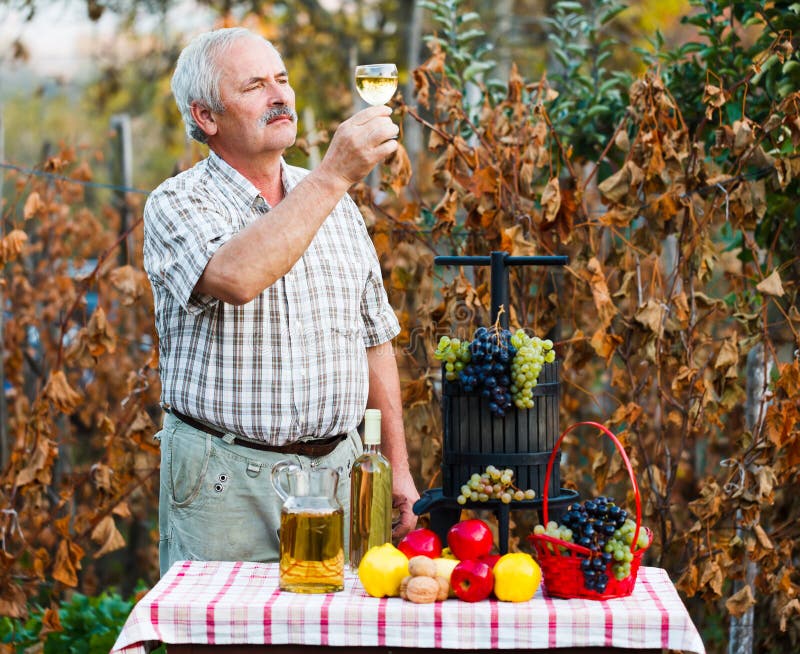 Old Man with Wine stock image. Image of lifestyle, tasting - 11407923