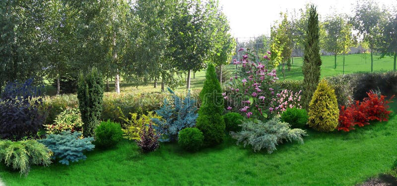 Example of Backyard Decorating and Grouping Plants, 3D Render Stock ...