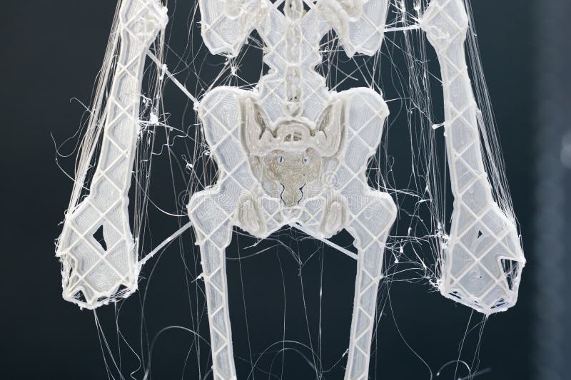 230 Bad Printing Stock Photos - Free & Royalty-Free Stock Photos from ...