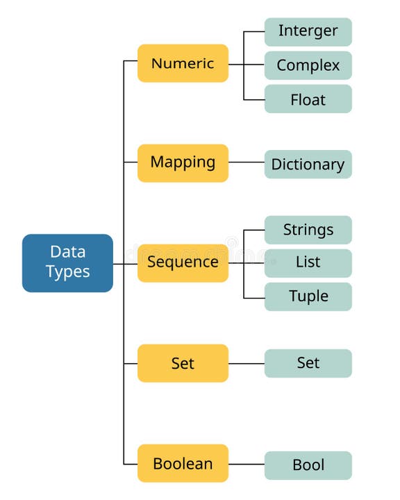 Example of Data Types with the Graph Stock Vector - Illustration of ...