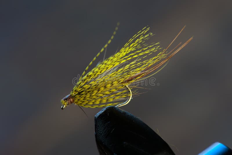 Example of Handmade Fishing Fly, Fly Tying Stock Image - Image of ...