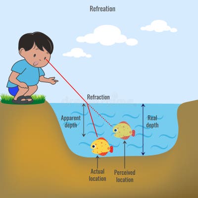 Real Example of Refraction of Light Vector Illustration Stock Vector ...