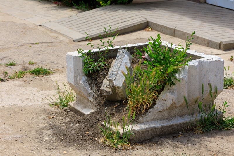 An Example of Vandalism, a Destroyed Flower Bed. Background Stock Photo ...