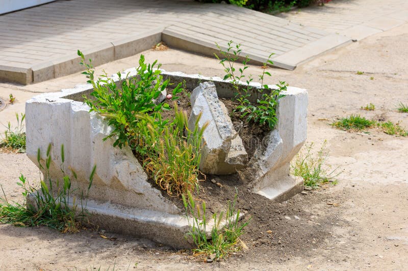 An Example of Vandalism, a Destroyed Flower Bed. Background Stock Image ...