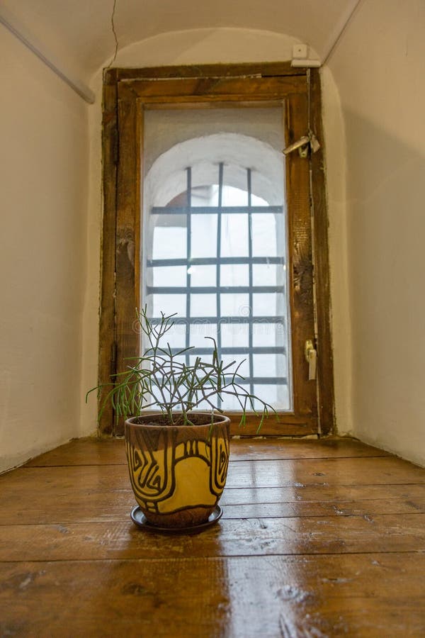 Example of window decor stock photo. Image of interior - 91726276