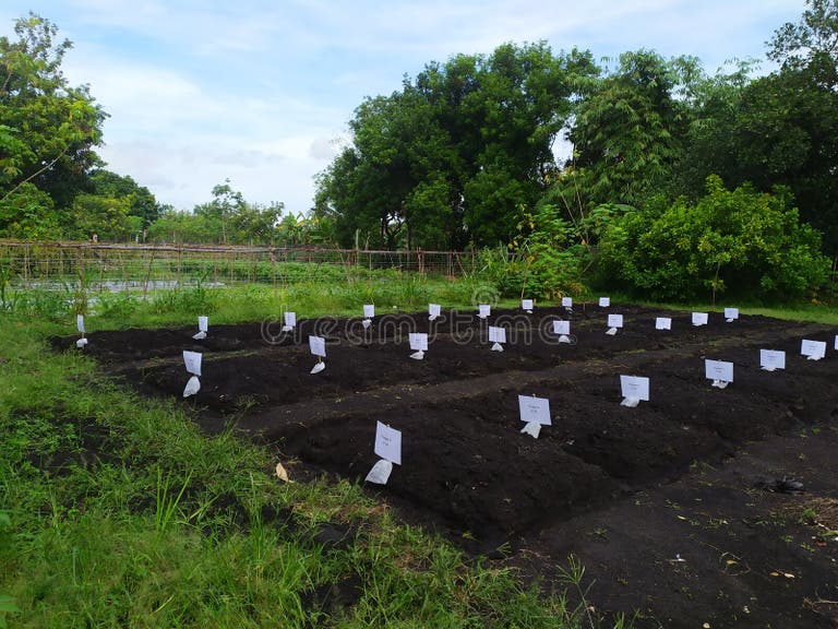 1,016 Examples Plant Stock Photos - Free & Royalty-Free Stock Photos ...