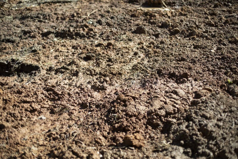 Excavated Soil. Broken Land. Texture of Mud Stock Image - Image of ...
