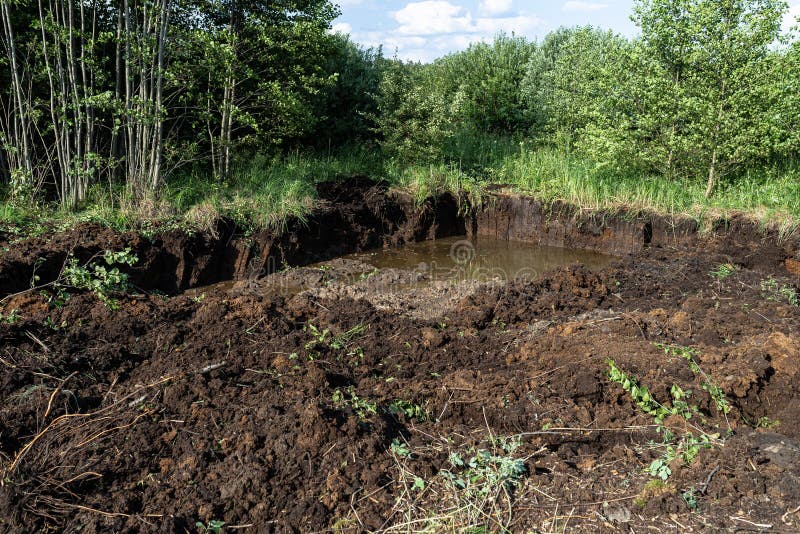 Excavating Peat from Marshy Swamps, Visible Hole with Groundwater ...