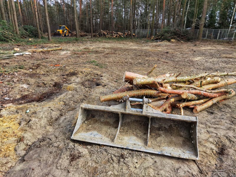 JCB Digger in Forest. Deforestation Stock Image - Image of ...