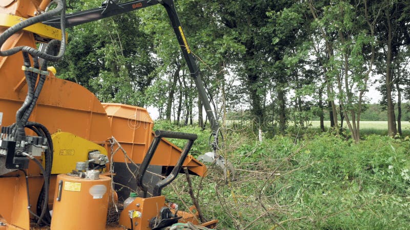 An Excavator Claw Picking Up the Cut Up Branches Stock Video - Video of ...