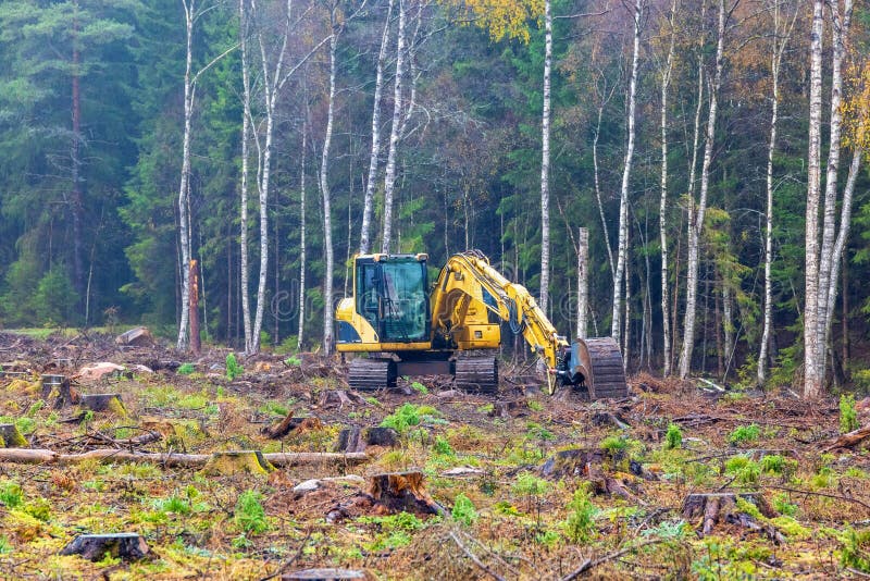 Excavator on a Clear Cut by the Forest Edge Stock Image - Image of ...
