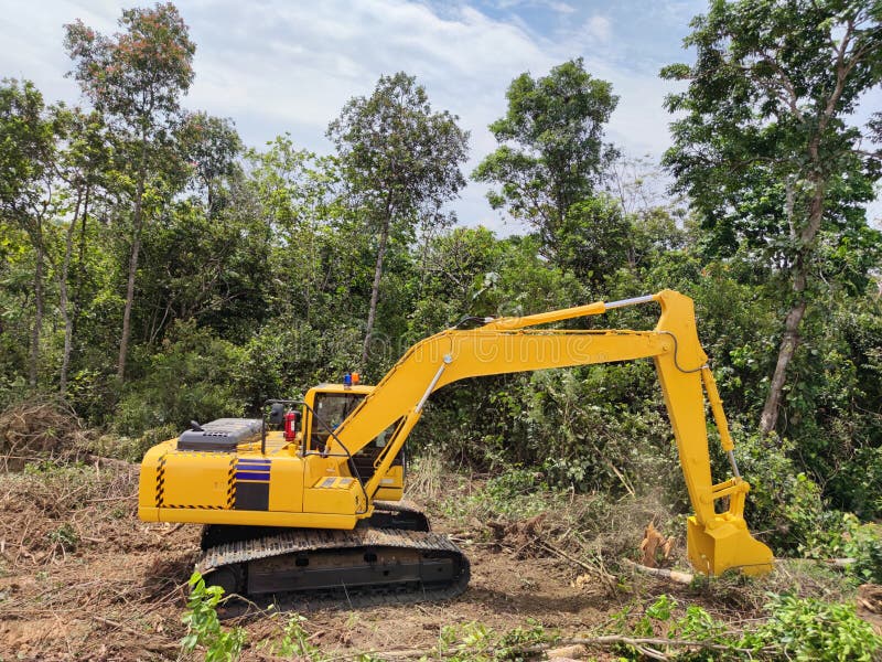 Excavator Clearing Forest in Coal Mine Area. Stock Image - Image of ...