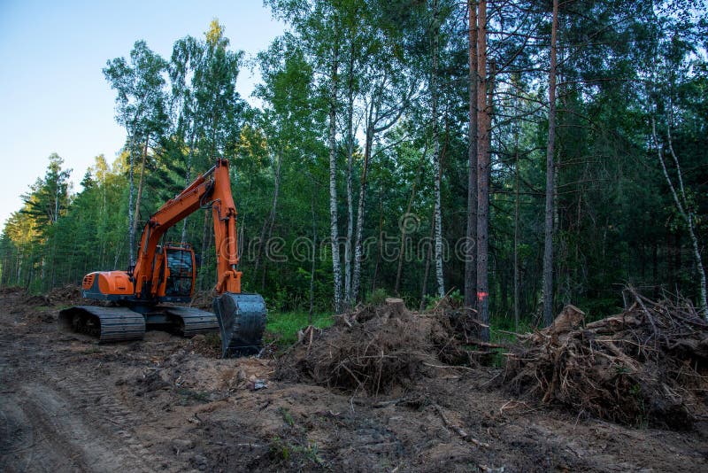 Excavator Clearing Forest for New Development. Orange Backhoe Modified ...