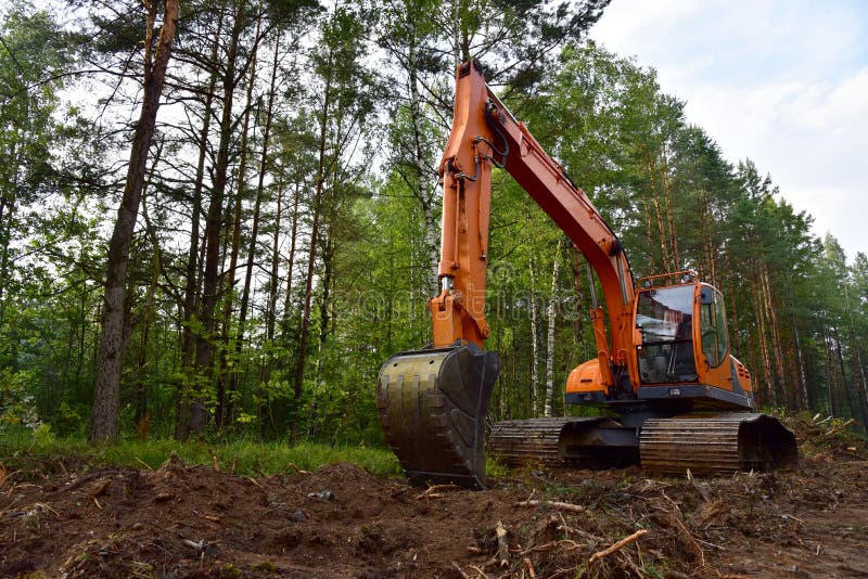 Excavator Clearing Forest for New Development and Road Work. Backhoe ...