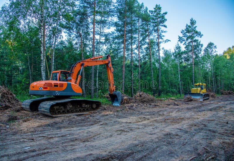 Excavator Clearing Forest for New Development. Orange Backhoe Modified ...