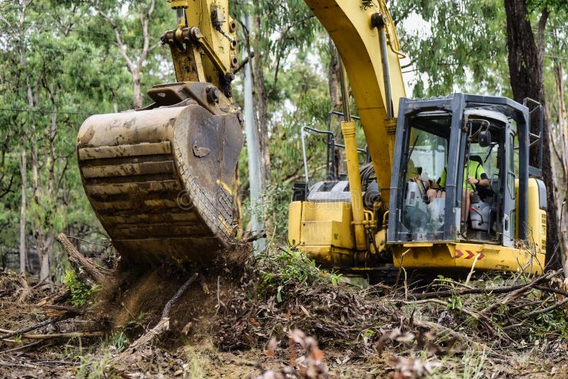 Excavator Land Clearing and Removing Trees Stock Photo - Image of dirt, muddy: 267963108