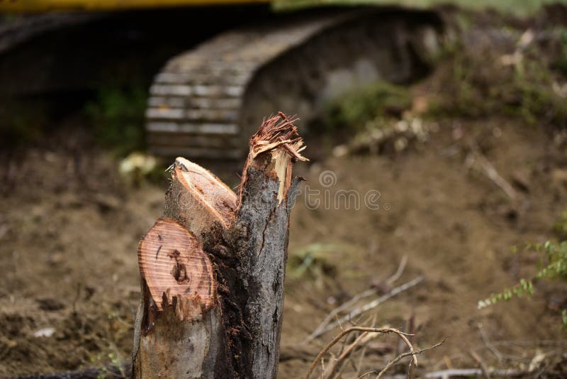 Excavator Land Clearing and Removing Trees Stock Photo - Image of ...