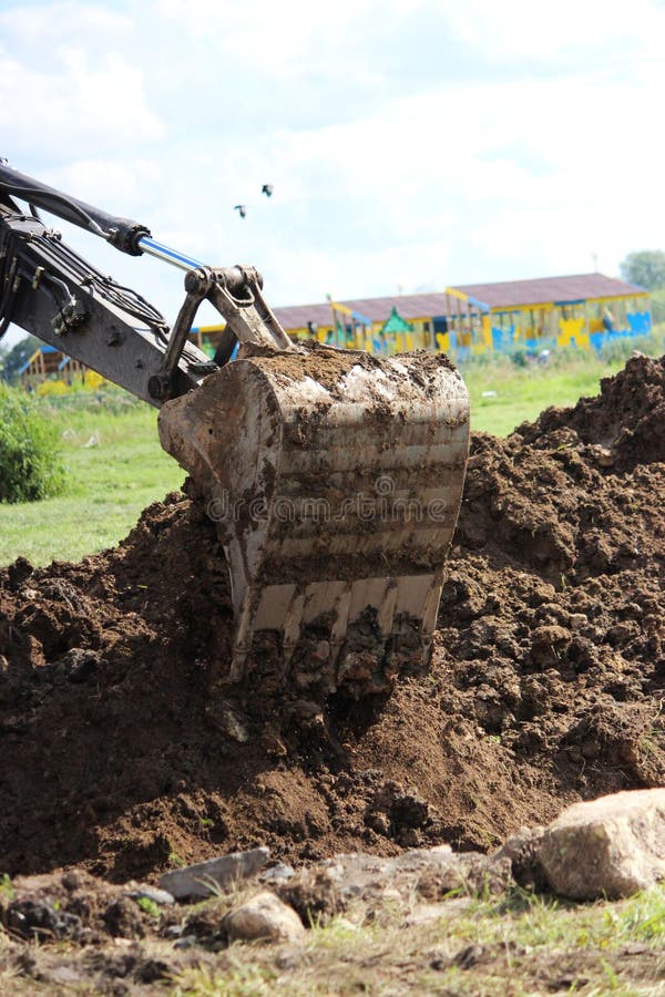 563 Birds Digging Stock Photos - Free & Royalty-Free Stock Photos from ...