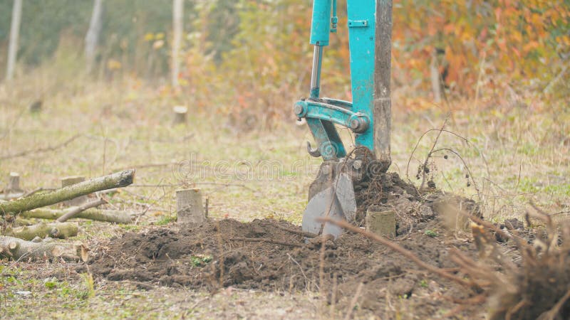Excavator digs tree roots stock video. Video of machinery - 178813699