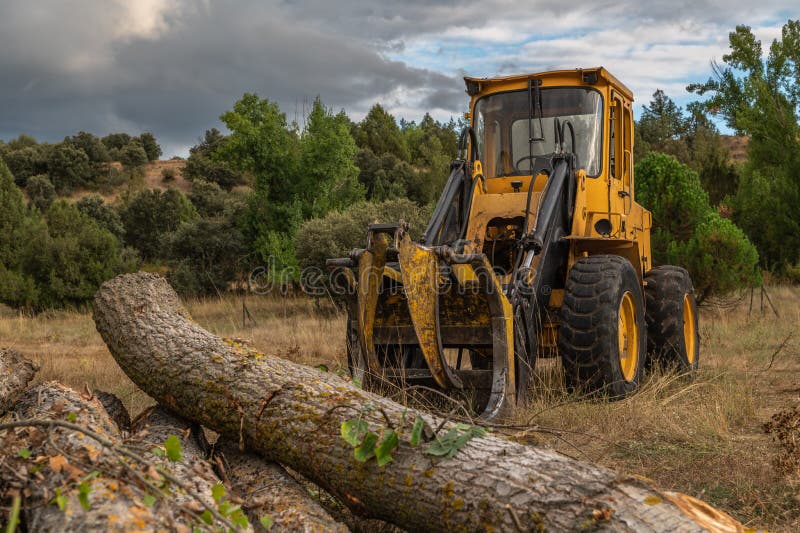 Excavator with Grapple for Transporting Logs in a Forestry Operation ...