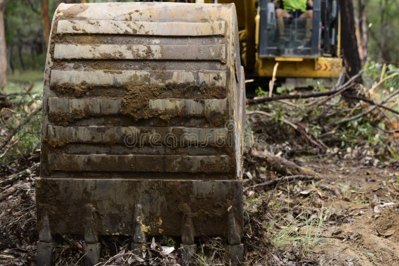 Excavator Land Clearing and Removing Trees Stock Photo - Image of ...