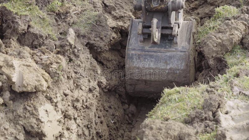 Excavator Loads Mud Cup stock video. Video of excavator - 349185851