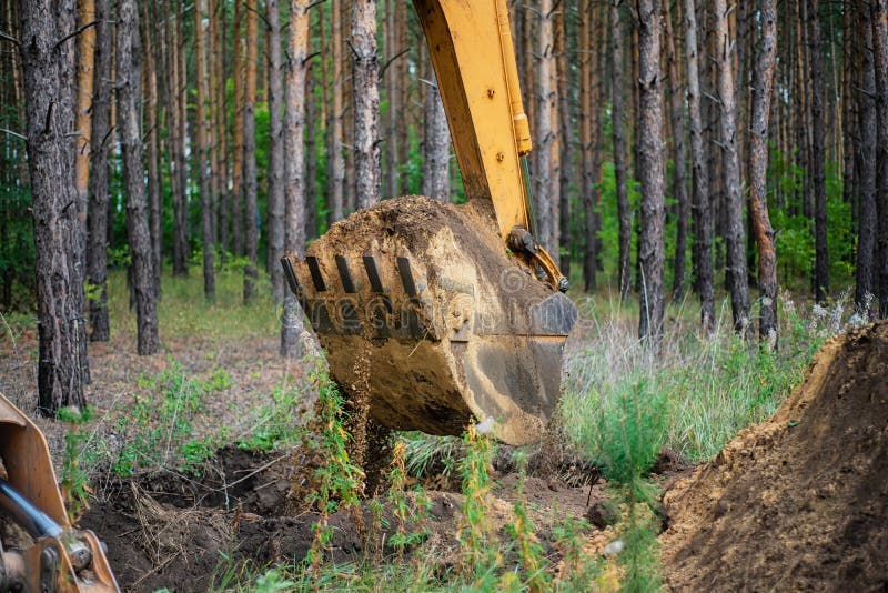 Excavator Performs Excavation Work by Digging the Ground with a Bucket ...