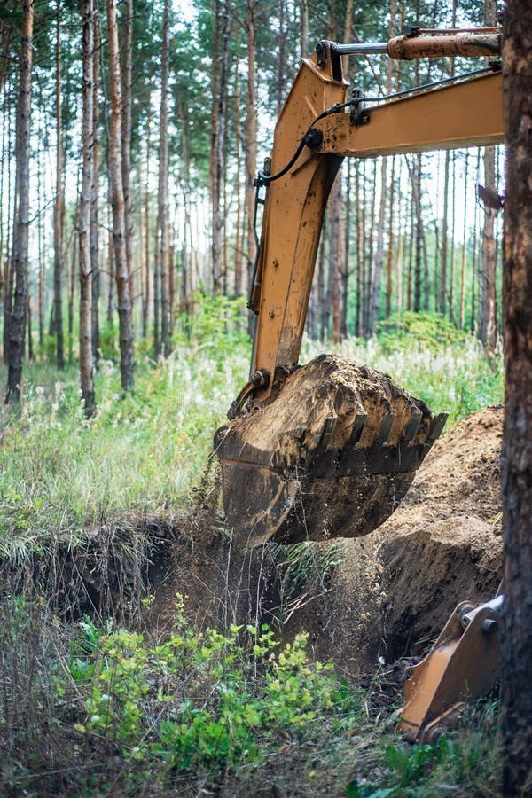 Excavator Performs Excavation Work by Digging the Ground with a Bucket ...