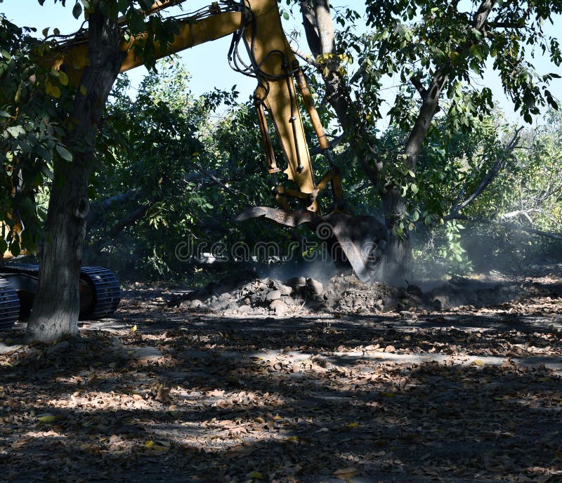 Excavator Used To Dig Up Tree-stumps and Roots Stock Image - Image of ...