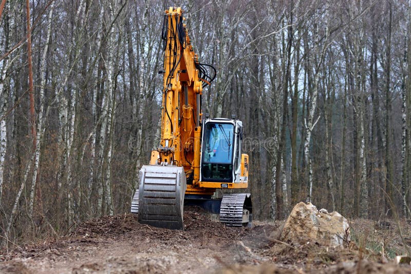 Excavator in the woods stock image. Image of machine - 216075385
