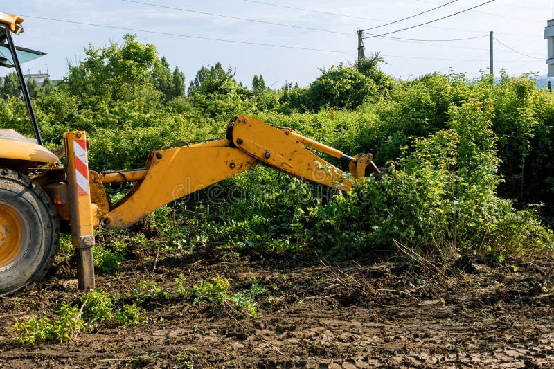 Excavator Work Efficiently Removes Bushes and Trees, Clearing Territory ...