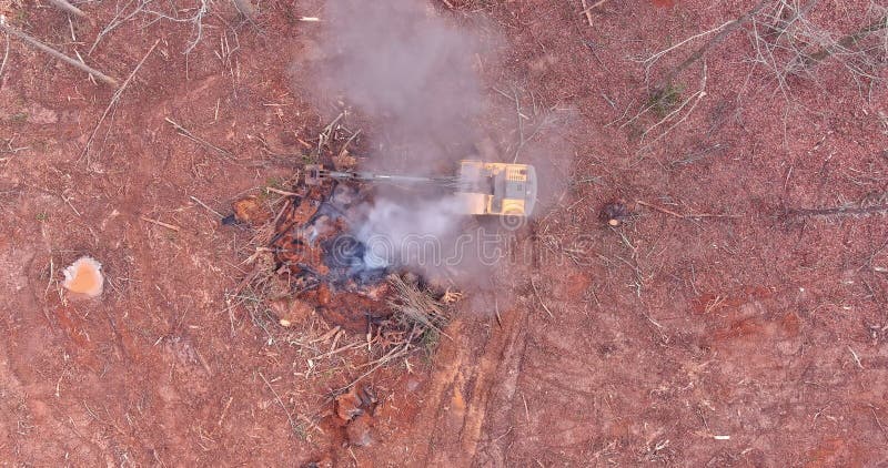 Excavator Worker Prepares Land Area by Burning Uprooted Tree for House ...