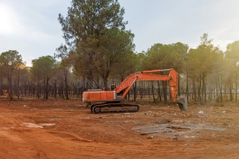 Excavator Working in Forest. Levels Clay Soil in Coniferous Forest ...